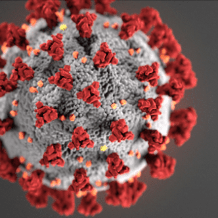 BioFire® Respiratory 2.1 (RP2.1) Panel with SARS-CoV-2 - Isla Lab